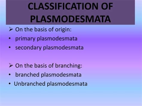 Pits And Plasmodesmata Pptx