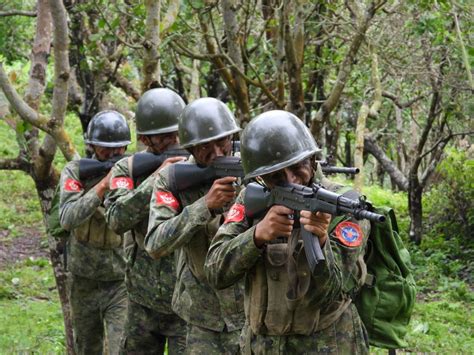 ပလက်ဝမြို့နယ်၌ တိုက်ပွဲပြင်းထန်၊ စစ်ကောင်စီတပ်က လေကြောင်းတိုက်ခိုက်