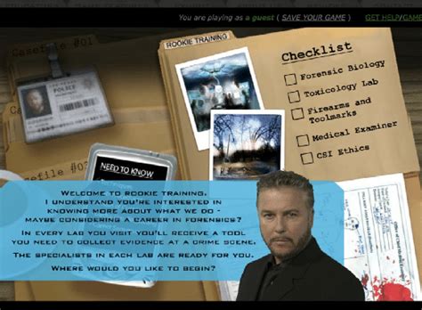 Csi Experience Simulation Download Scientific Diagram