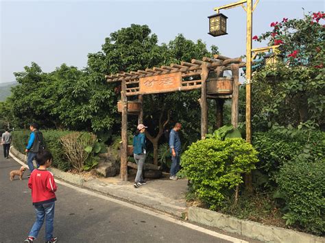 2日游 深圳旅游攻略 游记 去哪儿攻略