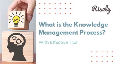 What Is The Knowledge Management Process With Effective Tips Risely