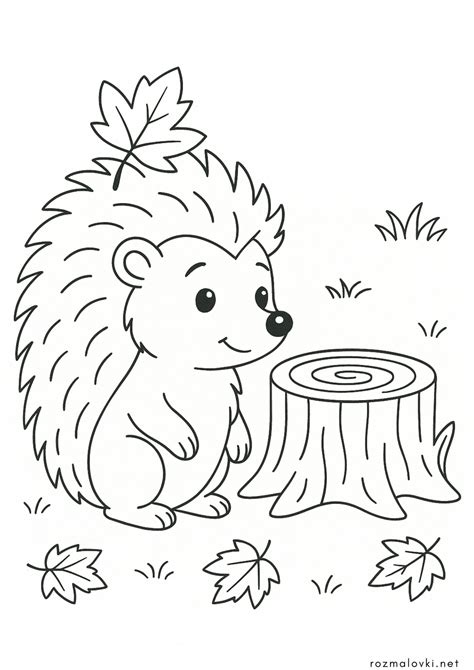 Розмальовки для дітей та дорослих Розфарбовки дитячі скачати безкоштовно 🖨️ роздрукувати А4