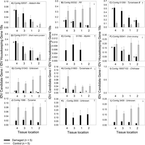 Expression Of Twelve Candidate Genes Across Four Tissue Locations In
