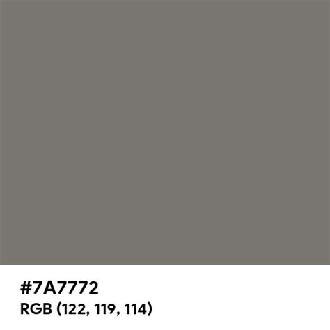 Metallic Titanium Color Hex Code Is 7a7772