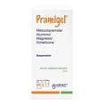 Pramigel Metoclopramida Aluminio Magnesio Simeticona Suspensión 170