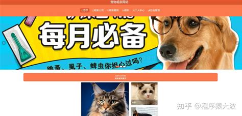 基于java，springboot，vue，html宠物相亲配对婚恋系统设计 Csdn博客