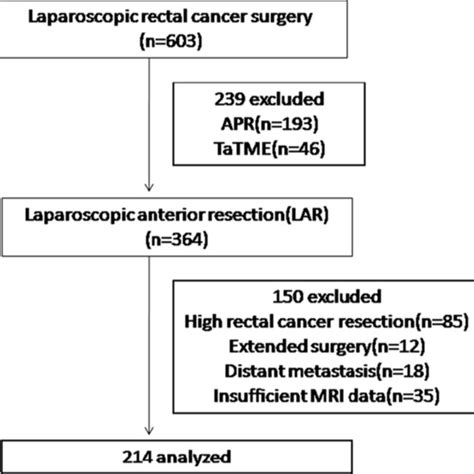 Mri Based Pelvimetry A Pelvic Inlet B Pubococcygeal Distance C Download Scientific