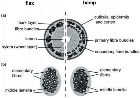 Retting Of Bast Fiber Crops Like Hemp And Flax—a Review For