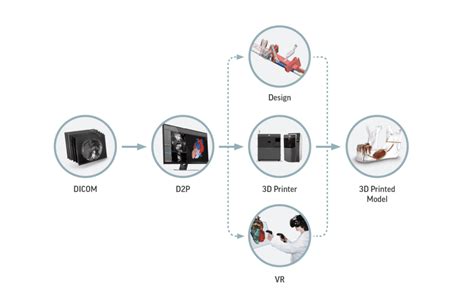 Dicom To Print D2p Nota3d A 3d Model Software
