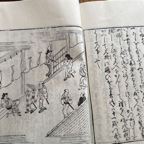 4103 絵入 好色一代男 井原西鶴 浮世草子 初摺本 全8冊揃 帙付 復刻 影印本 日本古典文学会 60サイズ着払い和書｜売買された