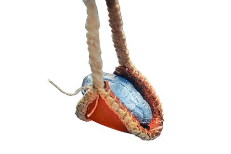 가죽으로 만든 로마의 새총 금속 껍질과 돌을 던지기 위한 빈티지 무기 흰색 배경에 격리되어 있습니다 고대 로마 군인의 복고풍 장비 재건 0명에 대한 스톡 사진 및 기타