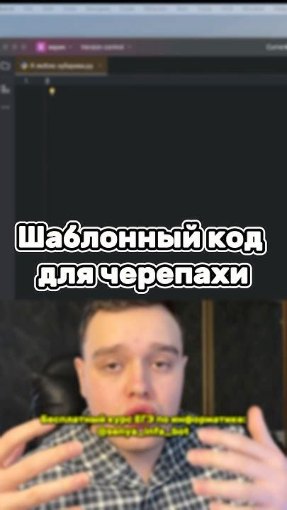 Шаблончик для Черепахи 🥵 сеня рек мем Python программирование егэ информатика егэ2025