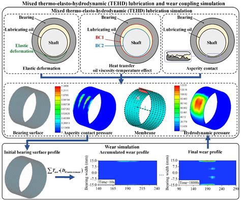 Mixed Thermo Elasto Hydrodynamic Lubrication And Wear Coupling Simulation Analysis For Dynamical