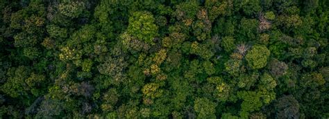 Safe Logger Faqs Plc Of The Northeast