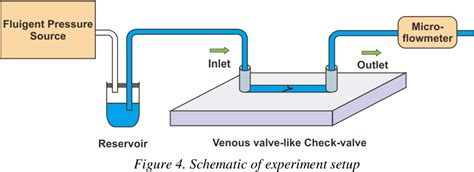 Figure 4 From A Venous Valve Like Check Valve For Microfluidic Device Semantic Scholar