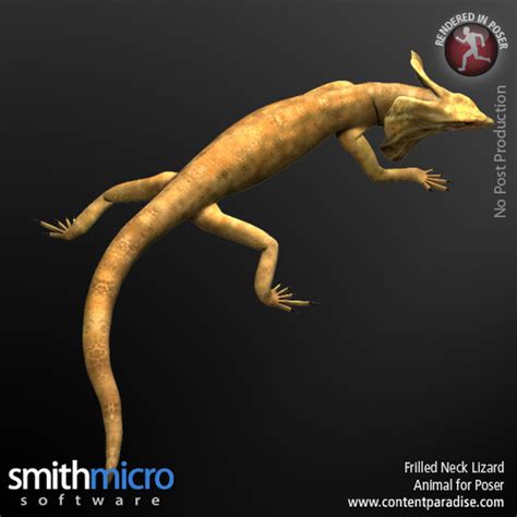 Frilled Neck Lizard Legacy Discounted Content Poser Software