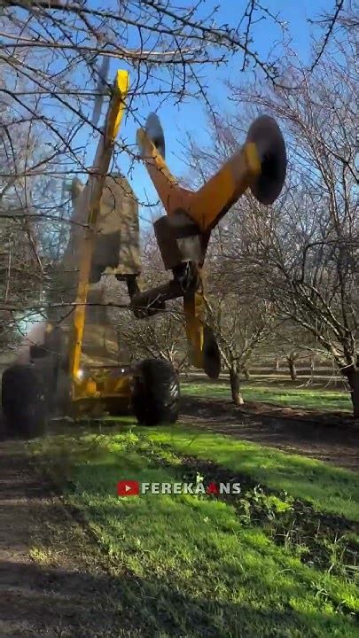 وقتی یک مهندس باغبان میشه🤐 Youtube