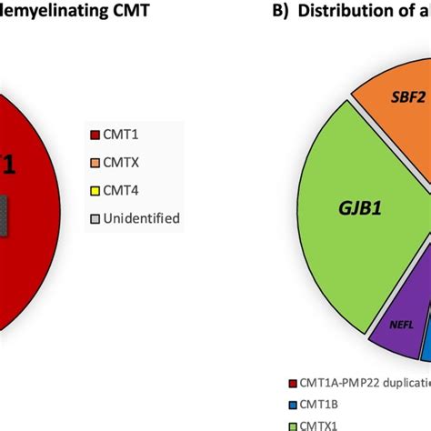 Distributions Of The Frequencies Of Cmt Subtypes A And Variants Download Scientific Diagram