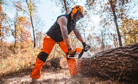 Best Stihl Chainsaw Models Which Is The Perfect Pick For You The