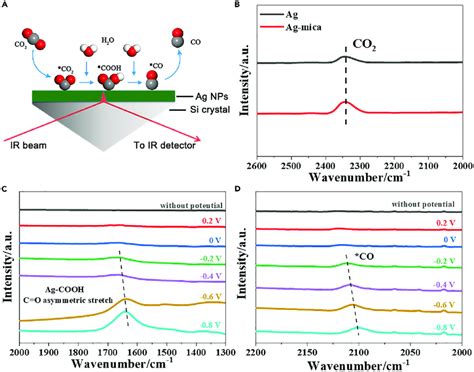 In Situ Atr Ftir Investigation A Schematic Diagram Of In Situ Download Scientific Diagram