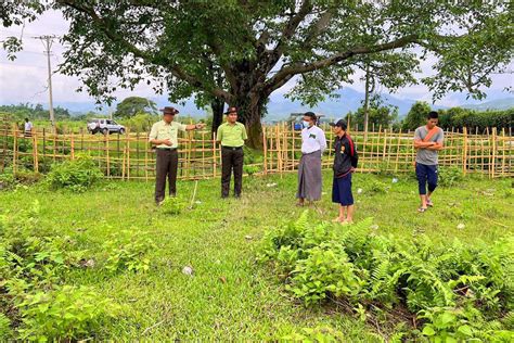 မိုင်းယောင်းခရိုင် စီမံအုပ်ချုပ်ရေးအဖွဲ့ဥက္ကဋ္ဌ မိုးစပါးကွင်းသရုပ်ပြပွဲ ကြည့်ရှု Information