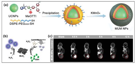 Molecules Free Full Text Recent Progress In Type I Aggregation