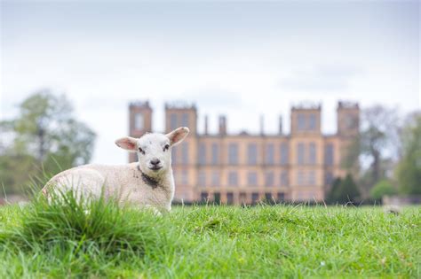 Stockton On Tees Libraries Celebrate Libraries Stockton On Tees