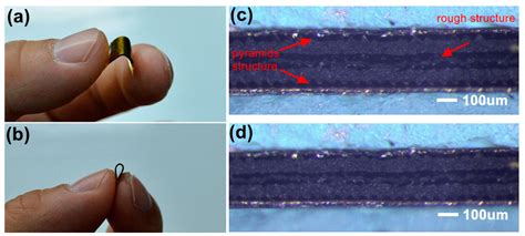 Nanomaterials Free Full Text A Sensitive Piezoresistive Tactile Sensor Combining Two