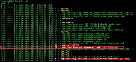 Oracle数据文件物理删除后的恢复 阿里云开发者社区
