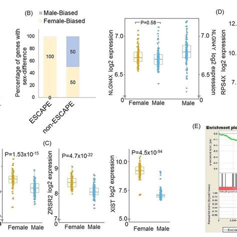 Sex Difference In Rcc Tissues A Sex Differences In Gene Expression Download Scientific