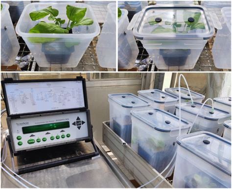 Raúl Castejón Del Pino On Linkedin N2o Biochar Fertilizers