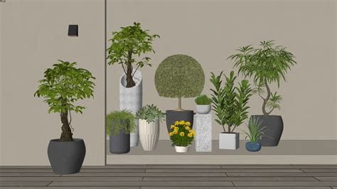 Interior Plant 6 3d Warehouse