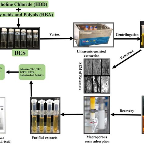 Optimization Of Extraction Process And Estimation Of Flavonoids From Fenugreek Using Green