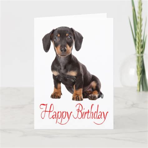 Happy Birthday Dachshund Puppy Dog Card Zazzleca