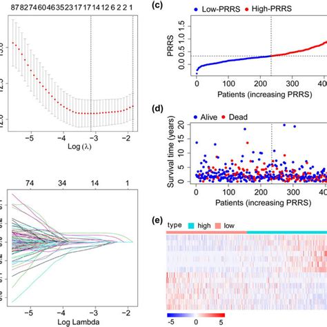 Construction Of Prrs Using Tcga Luad Dataset A And B Lasso Cox Download Scientific Diagram