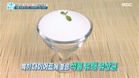 식물 유래 유산균 다이어트 되는 이유