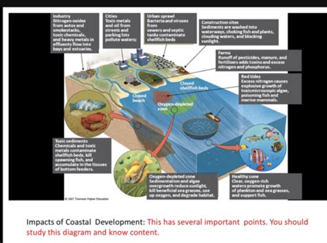 Envs 134 Coastal Processes Flashcards Quizlet