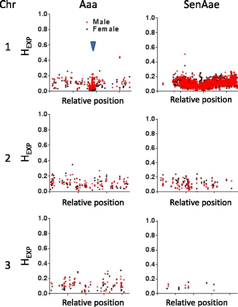 Inter Sex Hexp Values Vary Among A Aegypti Populations Relative Download Scientific Diagram