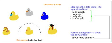 Hypothesis Examples