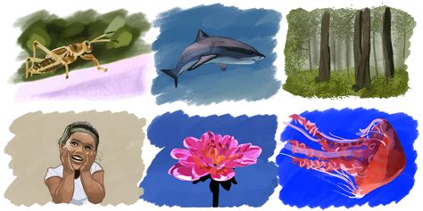 Multicellular Life — Definition And Overview Expii