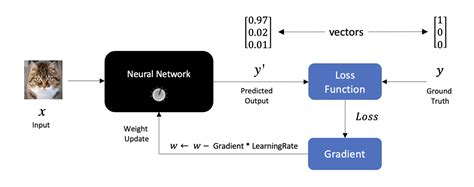 Training Neural Networks For Beginners