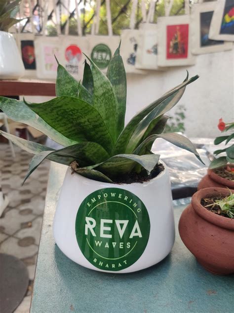 Ashok Jambur On Linkedin Social Entrepreneur Founder Ceo