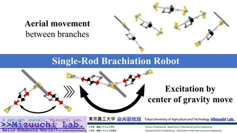 Infovaya • Presentation