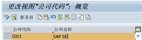 定义公司代码 Sap复制公司代码 Csdn博客