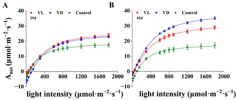 Low Temperature And Light Pretreatment Interactively Promote Rapid