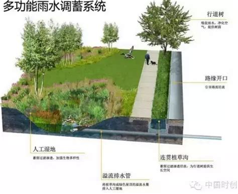 下图为屋面收水的结构示意图