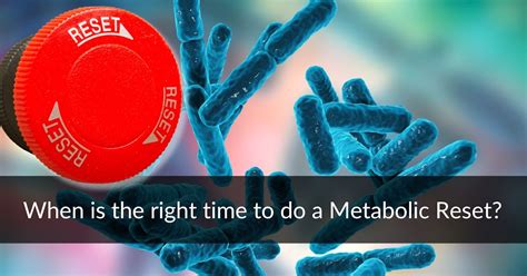 When Is The Right Time To Do A Metabolic Reset Ofm