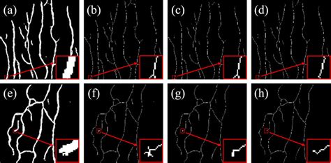 A And E Cnf Image From Dataset I Segmented By U Net B And F Download Scientific