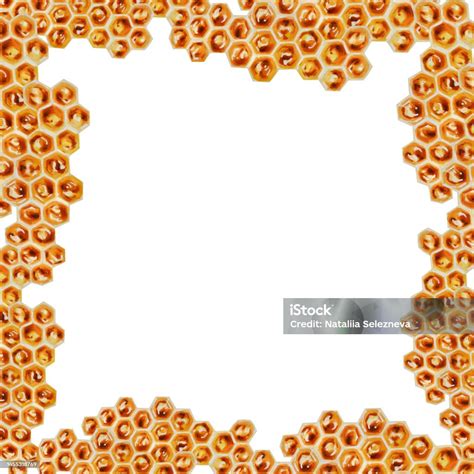 벌집이 있는 수채화 프레임 손으로 그린 면역 강화 세트 비타민 흰색 배경에 고립된 그림 감귤류 과일에 대한 스톡 벡터 아트 및 기타 이미지 감귤류 과일 감기와 독감