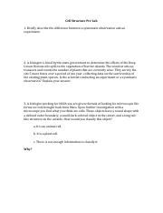 Cell Structure Pre Lab Pdf Cell Structure Pre Lab 1 Briefly Describe The Difference Between A